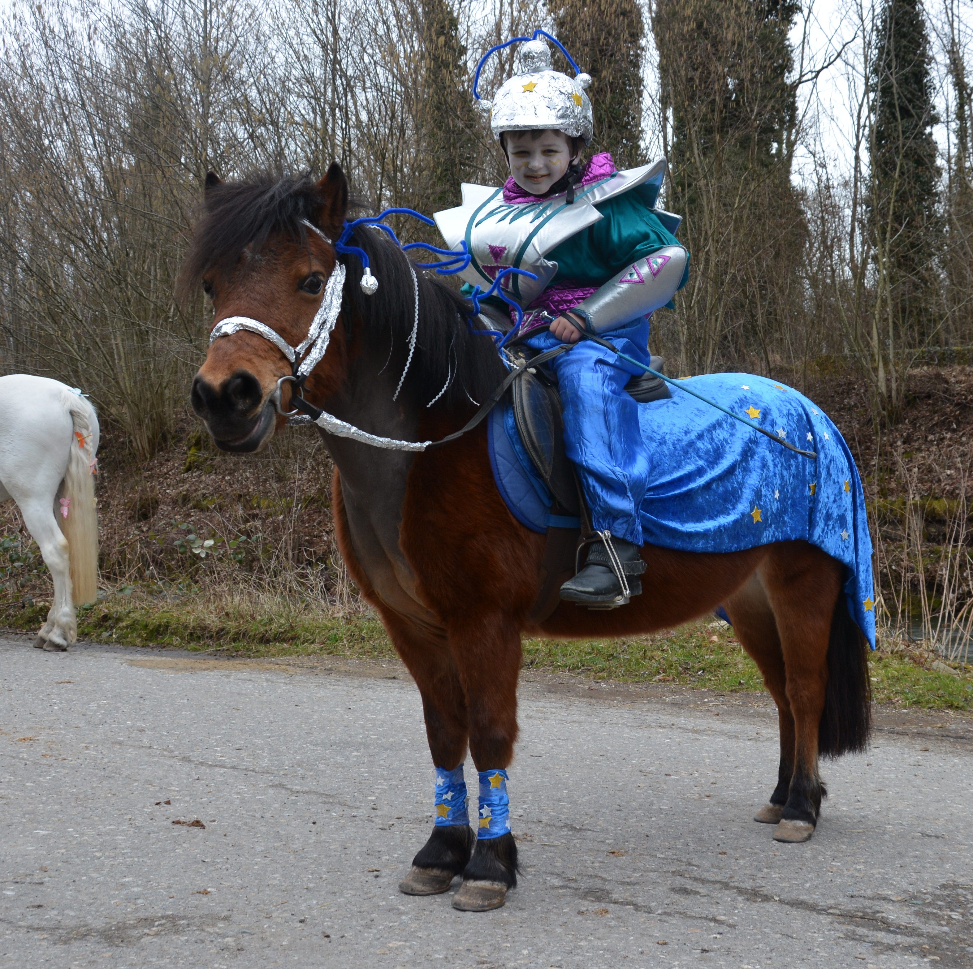Pferde / Ponys – Ponyhof Bätterkinden