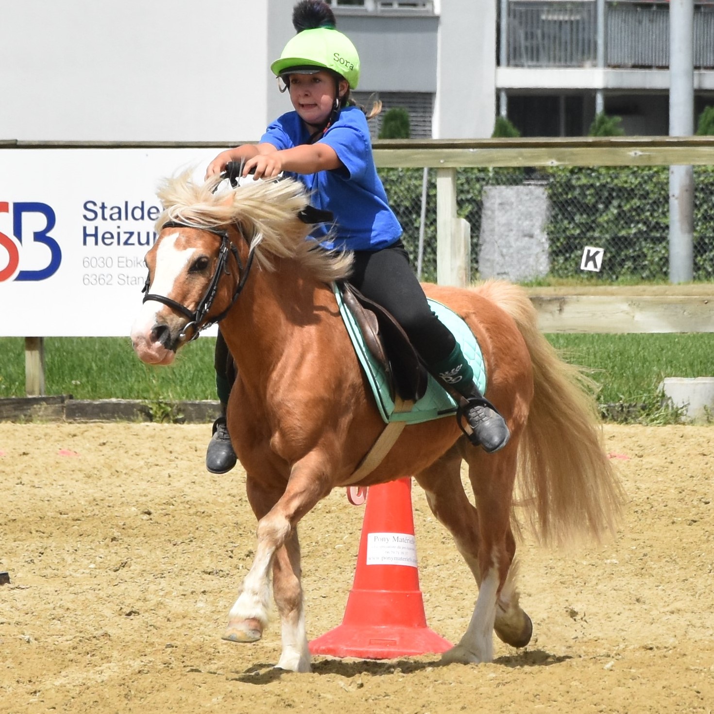Pferde / Ponys – Ponyhof Bätterkinden