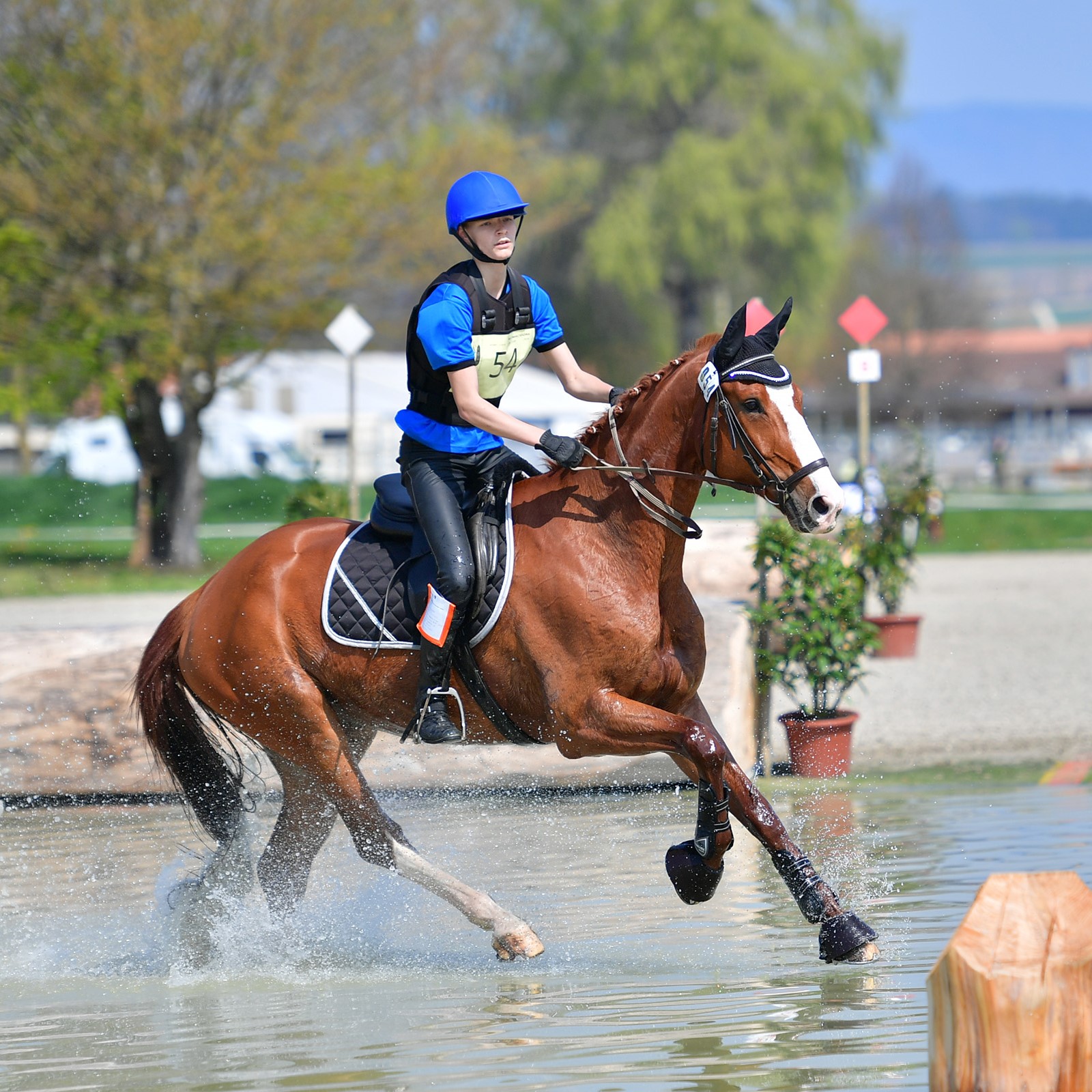 Pferde / Ponys – Ponyhof Bätterkinden